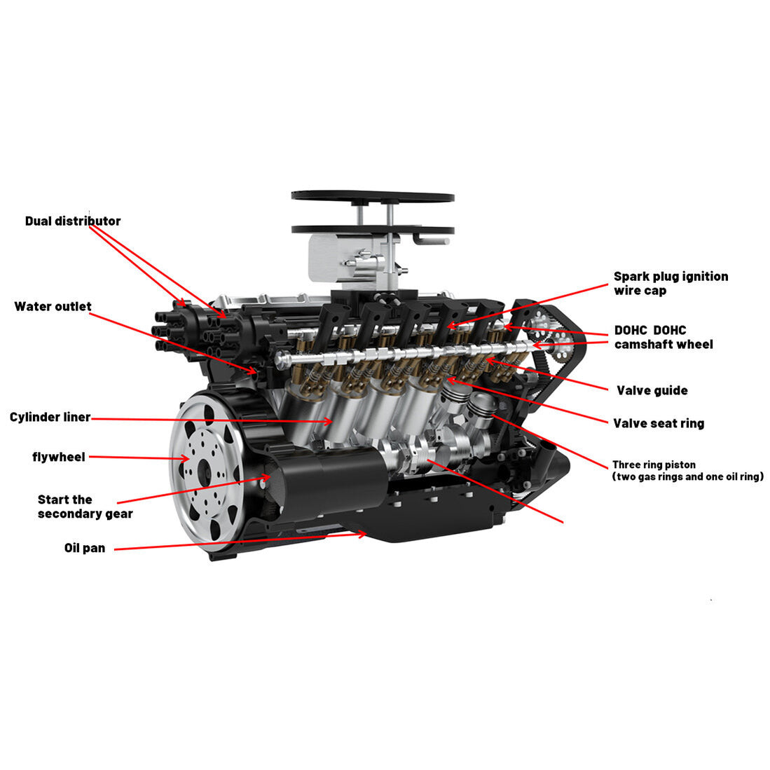 ENJOMOR V12 Engine GS-V12 72CC DOHC 4-Stroke 12-Cylinder 48-Valve Wate ...
